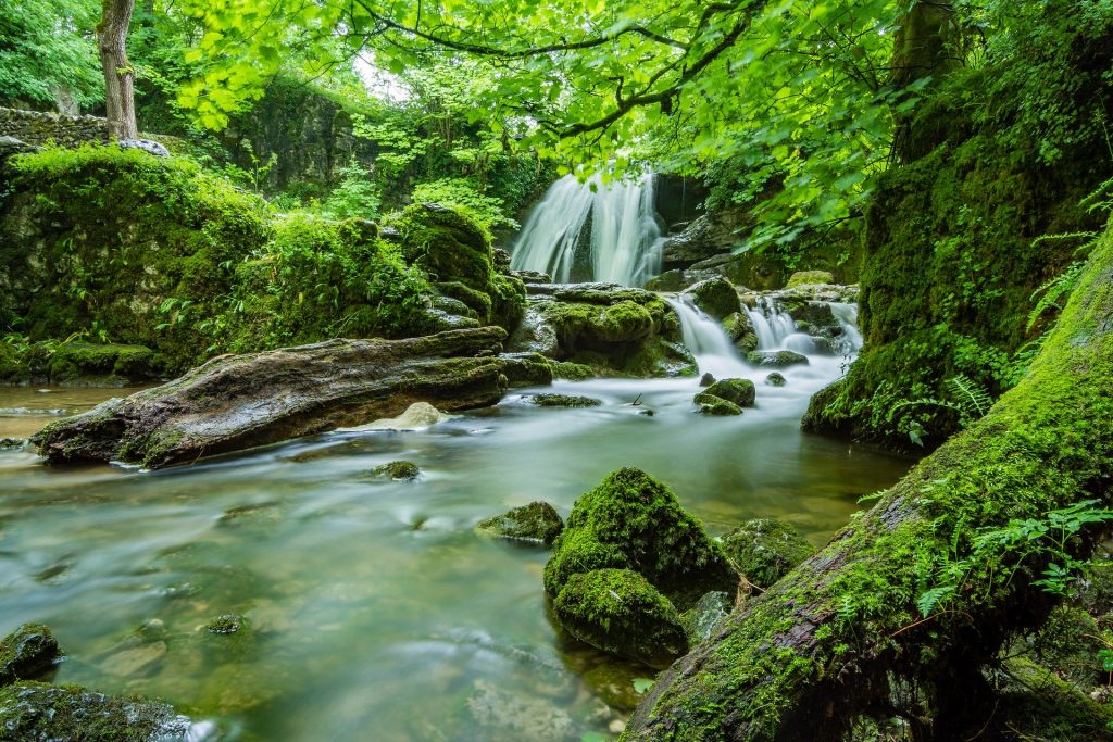 Wie wieder Wasser in den Wald kommt - Naturwald Akademie